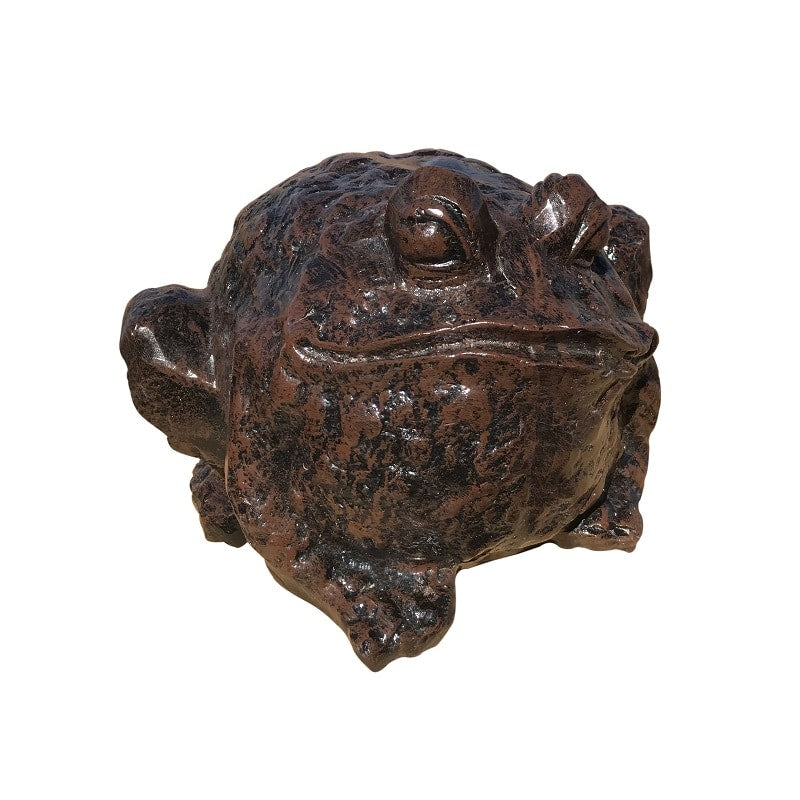 Fat Toad – Backyard Buddies